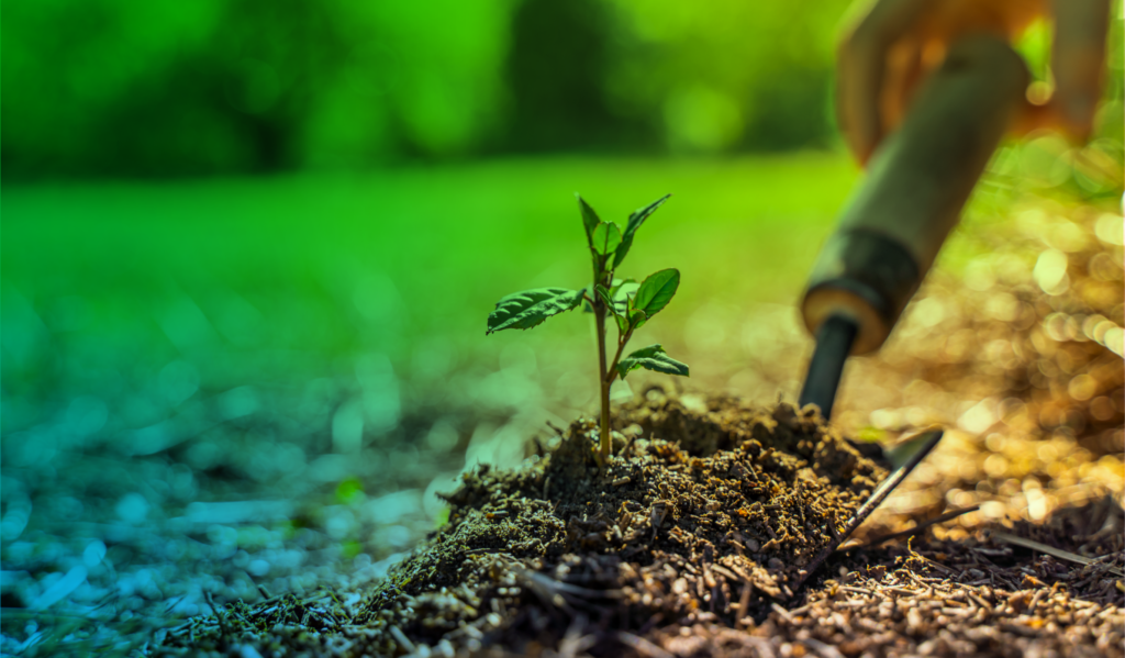 Transparency - Thrive - Accountants who know tech.