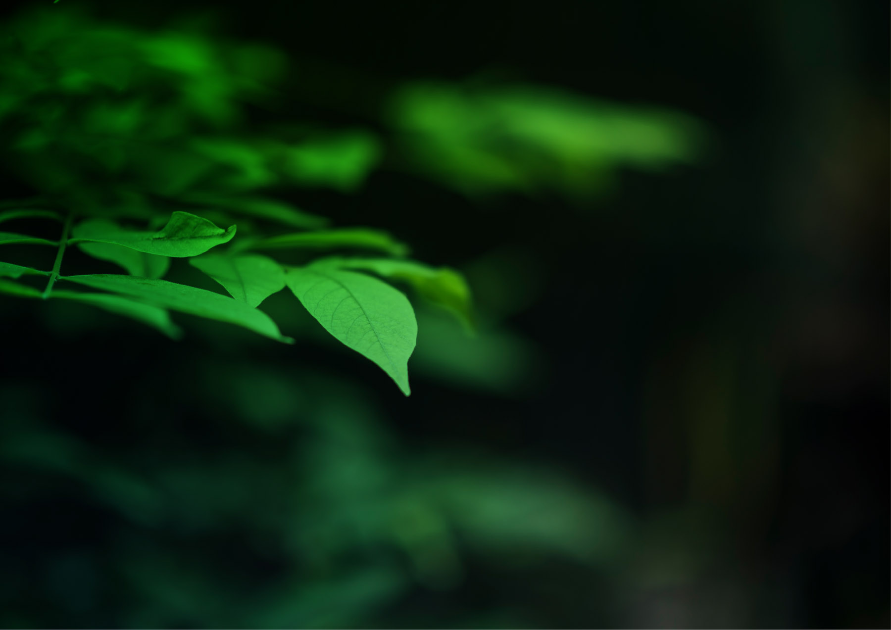 Thrive Accountants - Case Studies